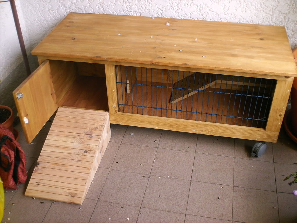 Guinea Pig Cui Cui Mania: CASAS PARA OS PORQUINHOS DA INDIA