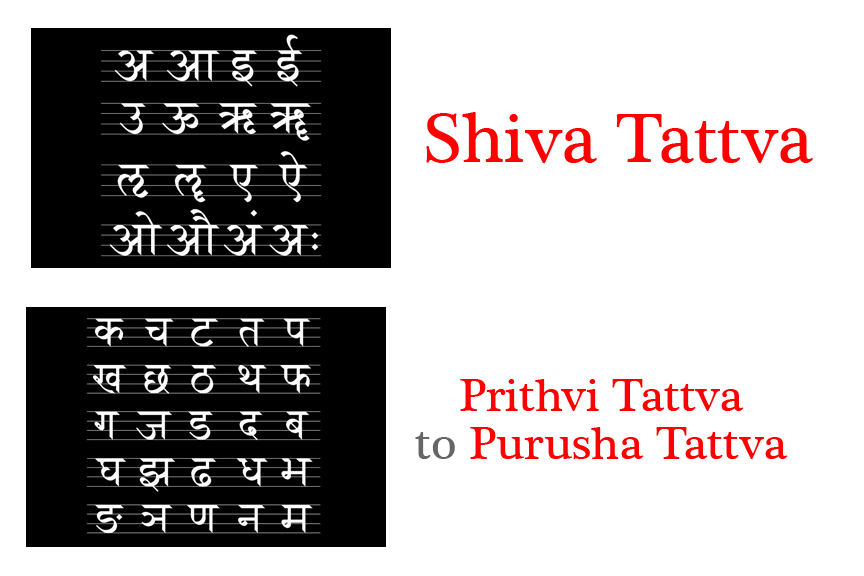 Books: The Matrika Chakra Deck + Guide (50 Cards)