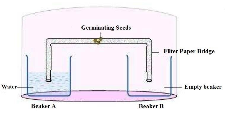 UPSESSB TGT PGT botany zoology notes 2020: CLASS 10 BIOLOGY NCERT LIFE ...