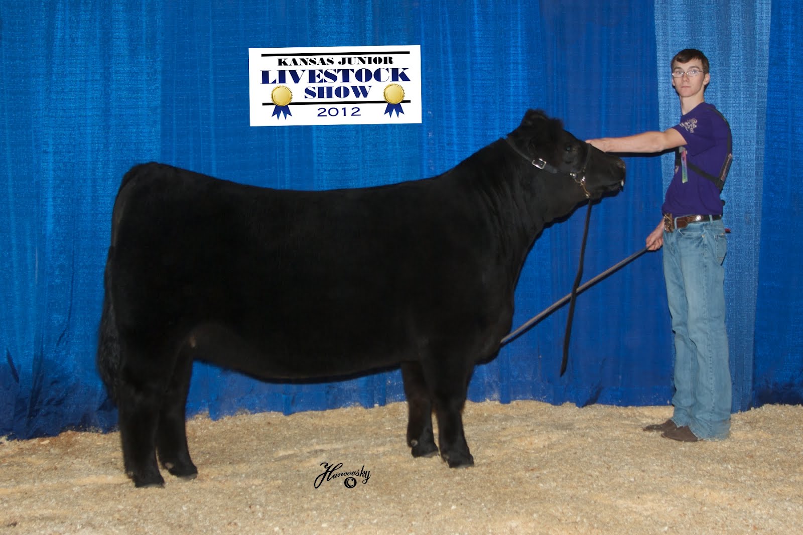 DIAMOND G CATTLE CO.: Kansas Jr Livestock Show