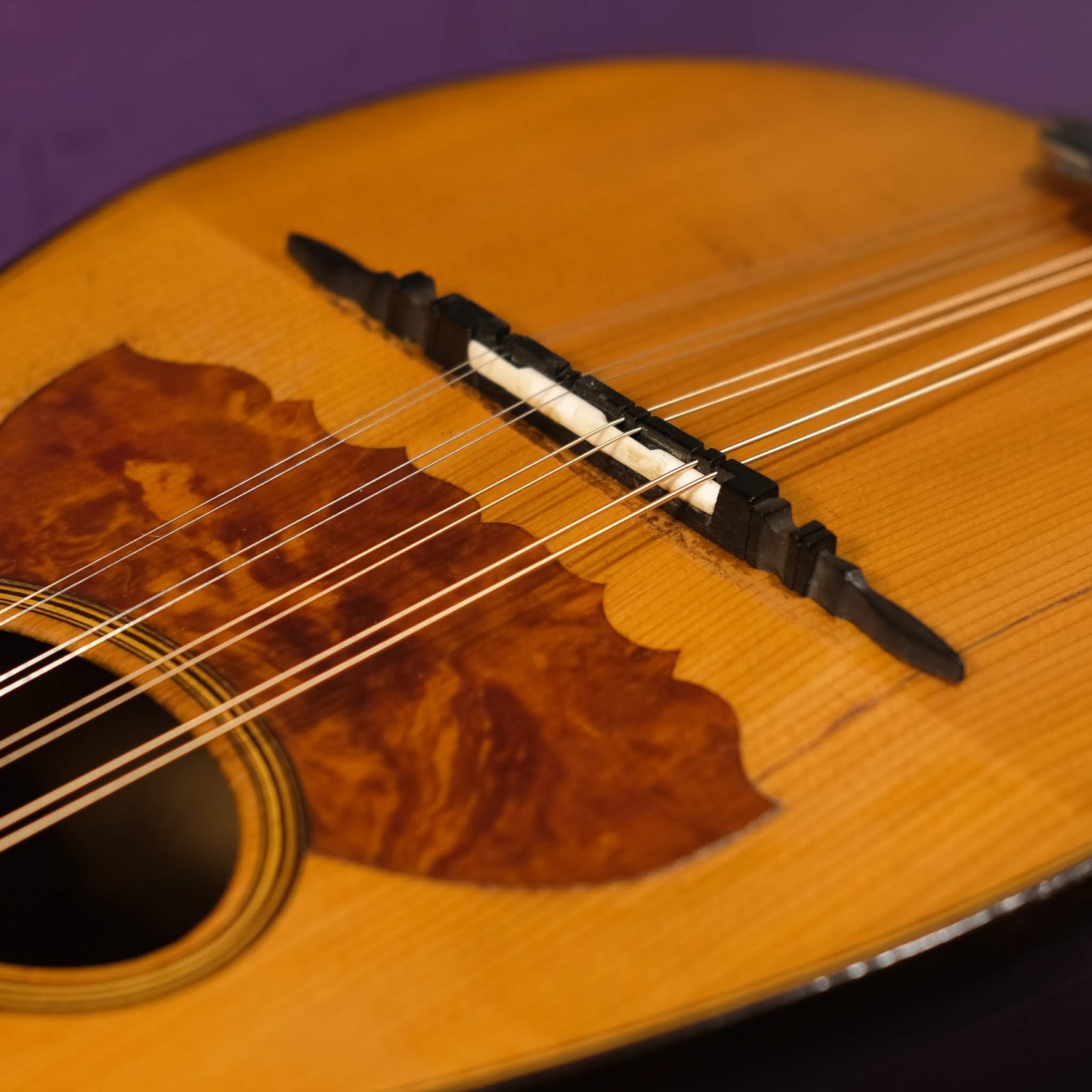 1910s Larson-made Mayflower Bowlback Mandolin