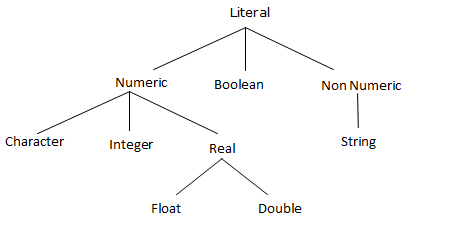 Literal in java programming