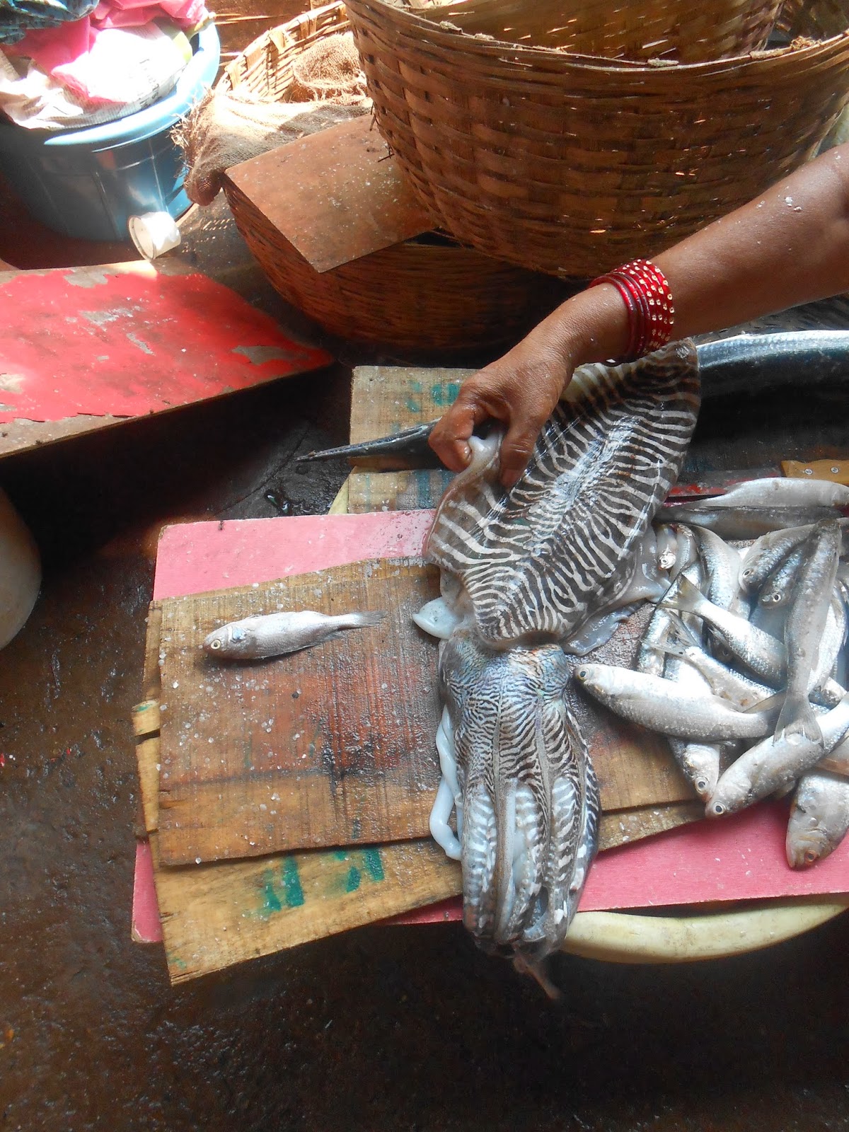 mytravelfootprints: How I grew rich in Goa! Wealth of memories! Elsie ...