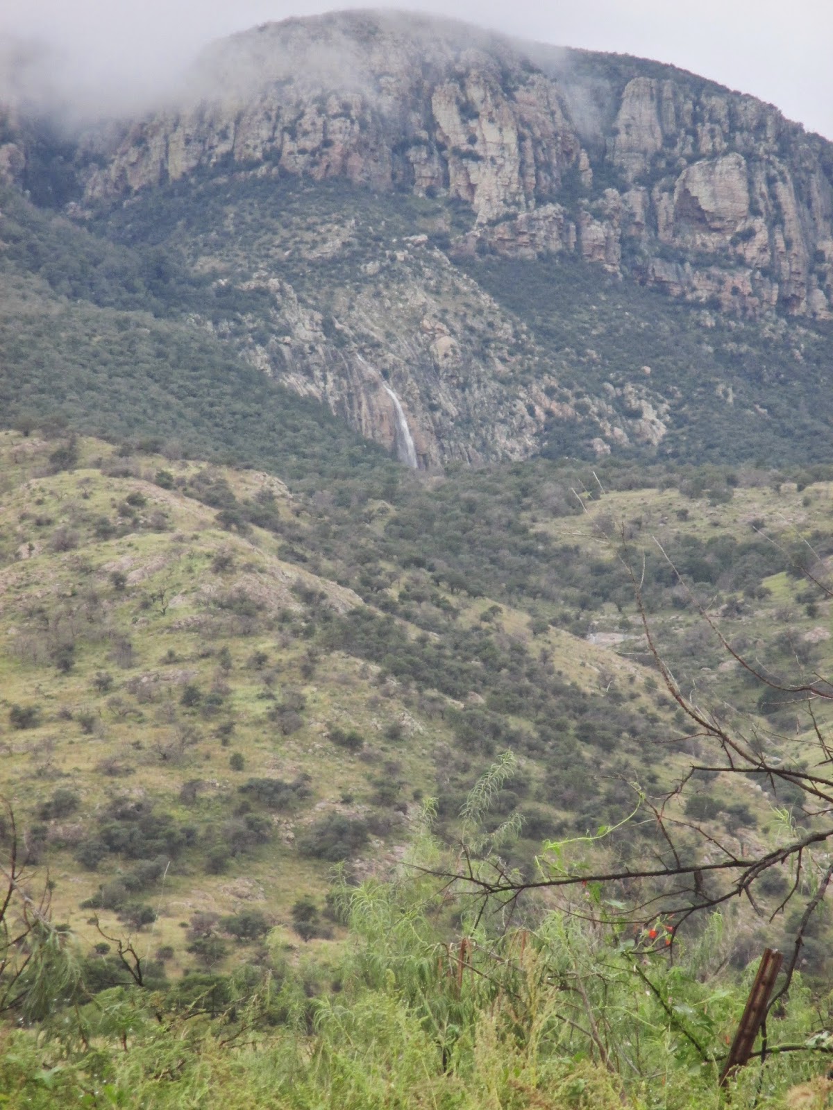 Backyard Excursions: The Carr Canyon Waterfall