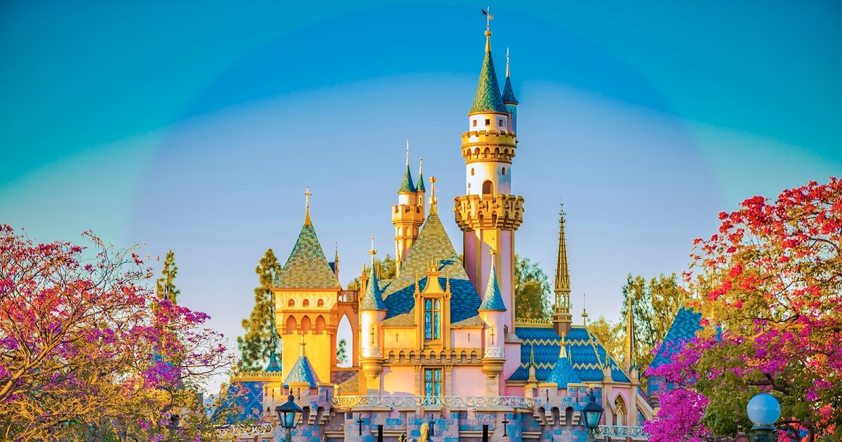 Disney Photoblography