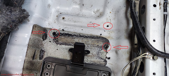 Everything about CODAN