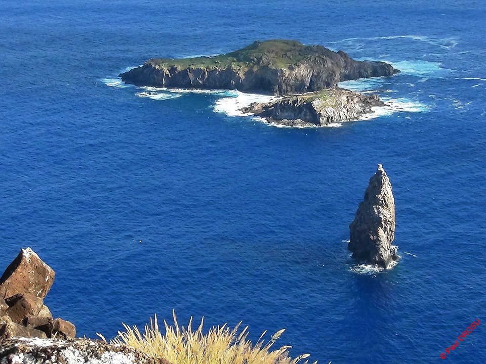 PRIETENI MEREU!: RAPA NUI (Insula Pastelui) – Cultul TANGATA-MANU (OMUL ...
