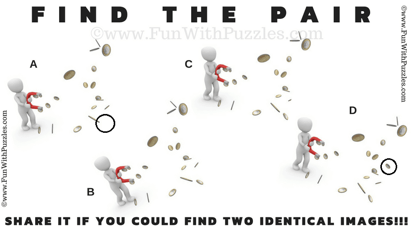 Quick and Easy Find the Pair Picture Riddle and Answer