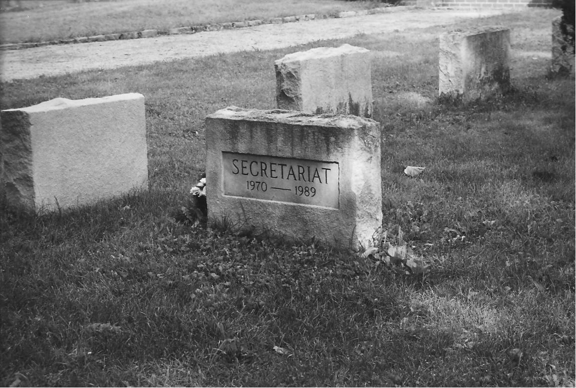 Calypso Farm Eventers: Secretariat