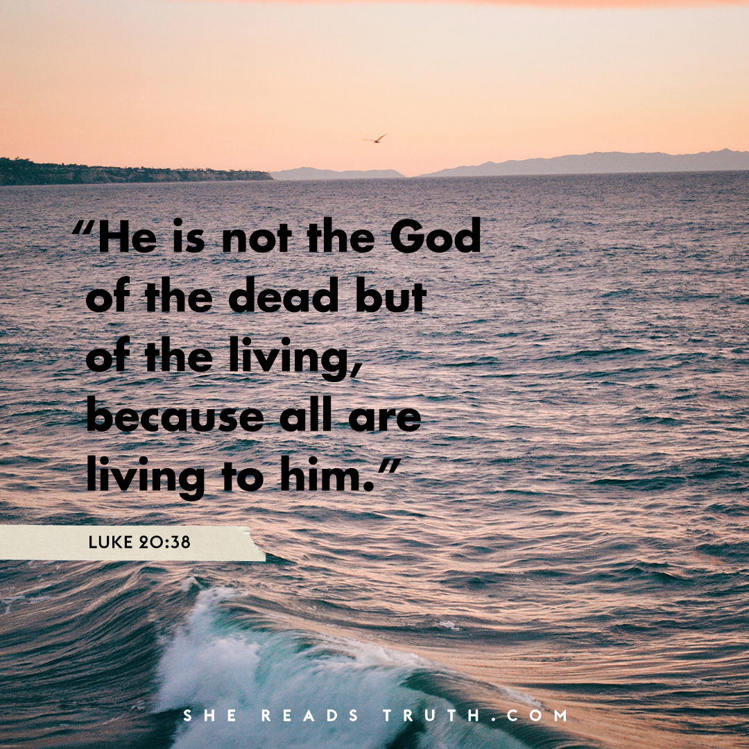 Jesus' Authority is challenged {Luke 20} - Women in the Word