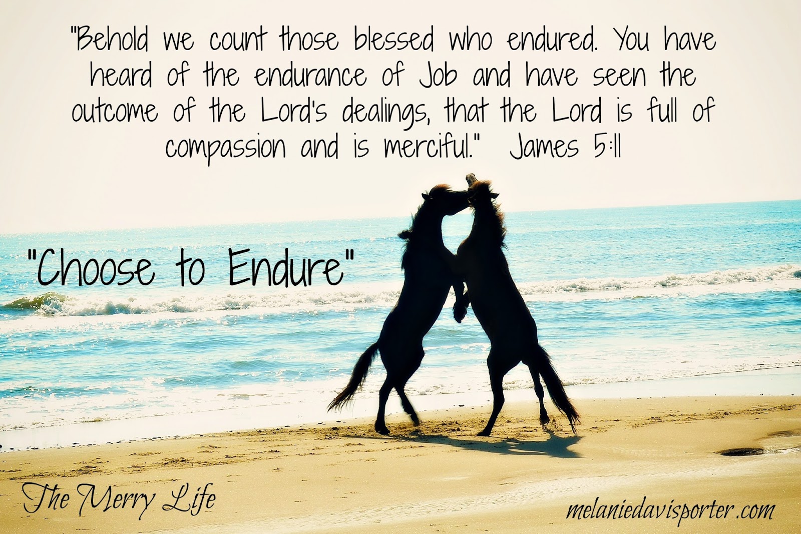 From the Dean's Office: Choosing to Endure instead of Failure