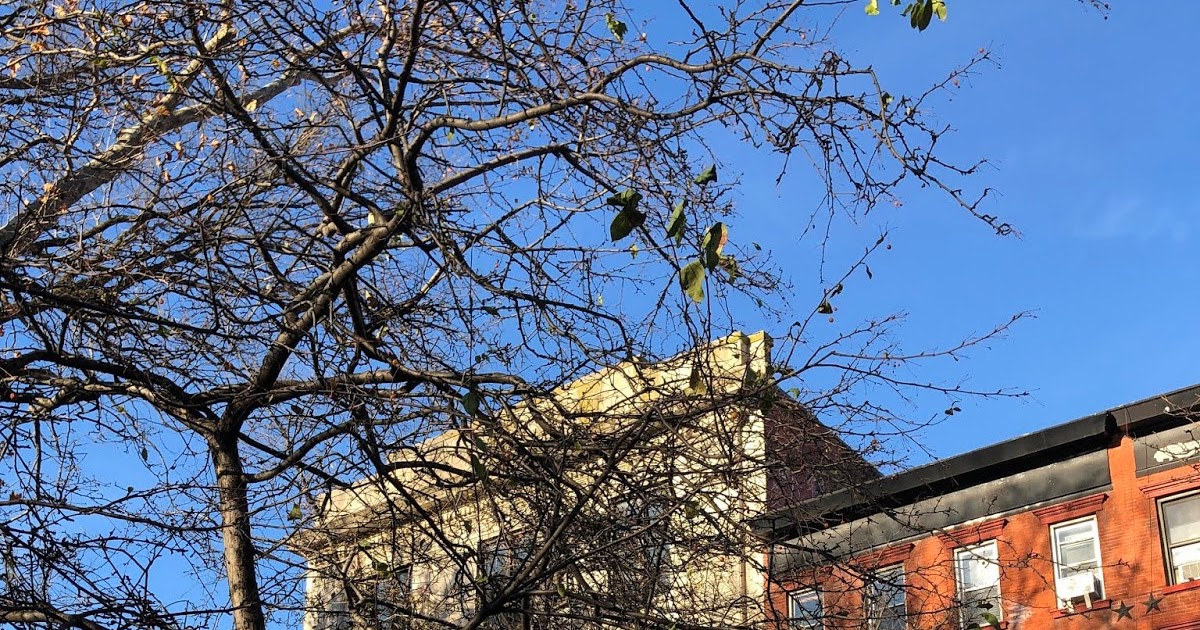 EV Grieve: The Tompkins Square Library hosts the 2nd annual East ...