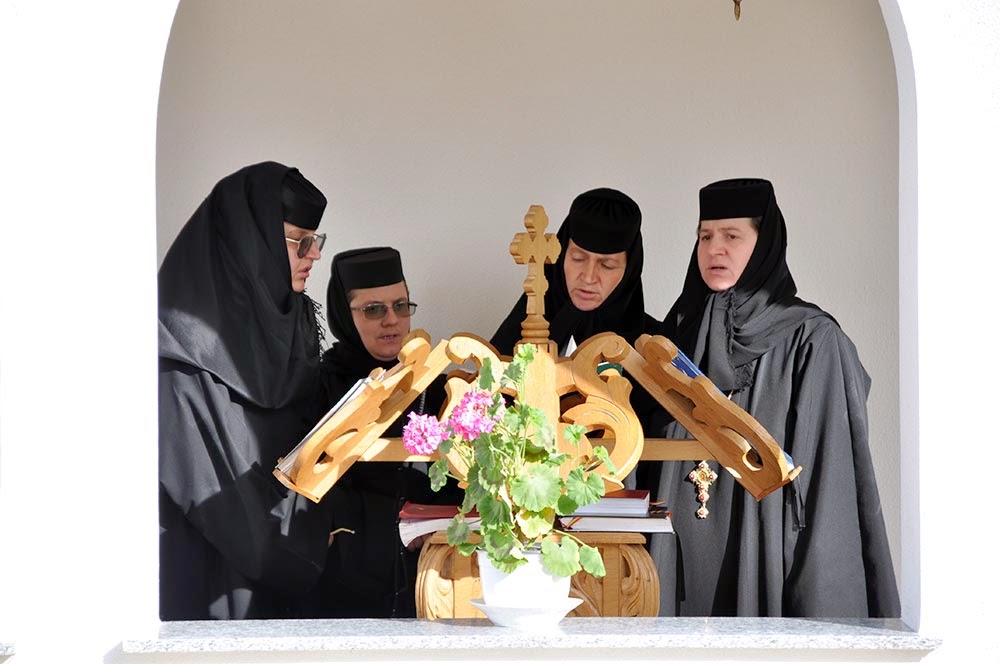 Romanian Gastronomic Voyage