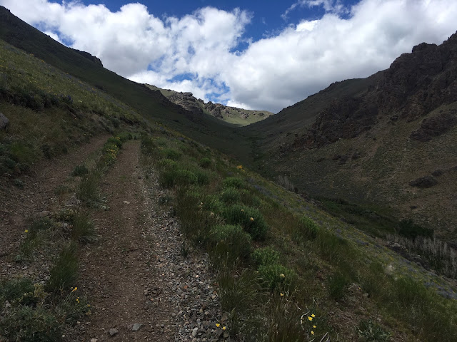 Out and About Oregon Birds: Harney-Lake County 2019