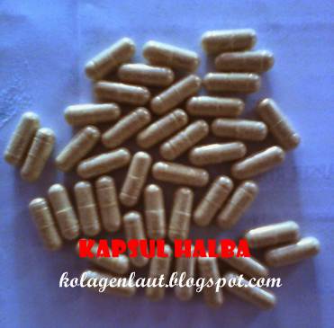 Shahkb Online: Whatsapp 017 930 6329: Khasiat Halba (Fenugreek) yang ...