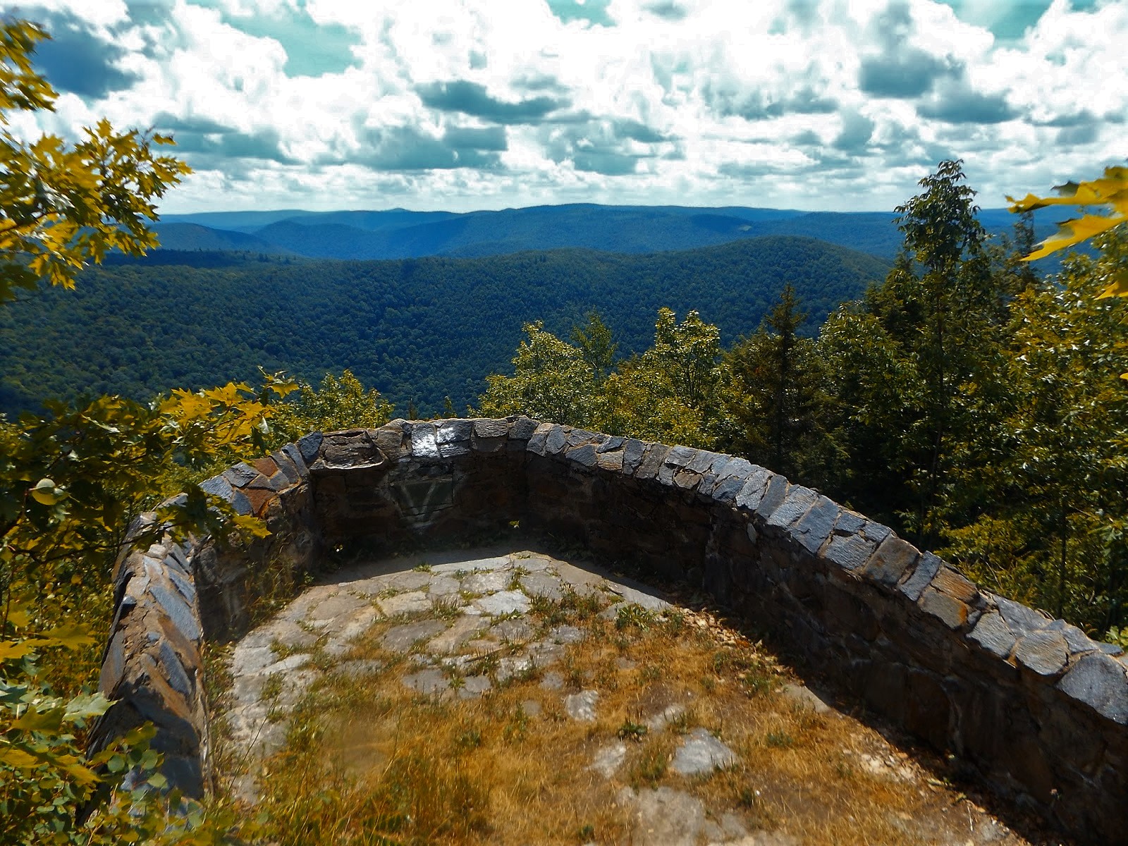 Walking Man 24 7: Monroe State Forest(Northern Berkshires)