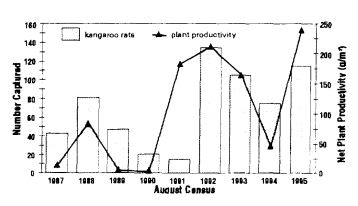 BIO227Fall2015.01: Giant Kangaroo Rat