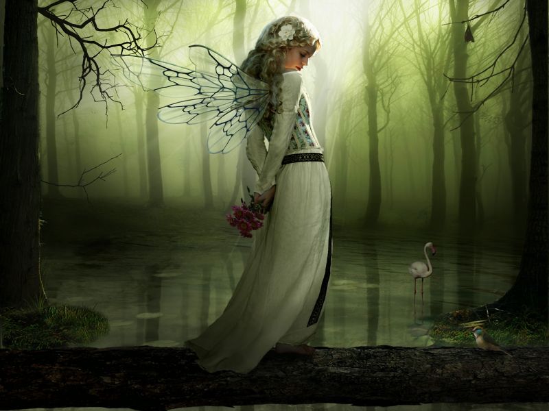 El vuelo de las Hadas: EL HADA Y LA SOMBRA