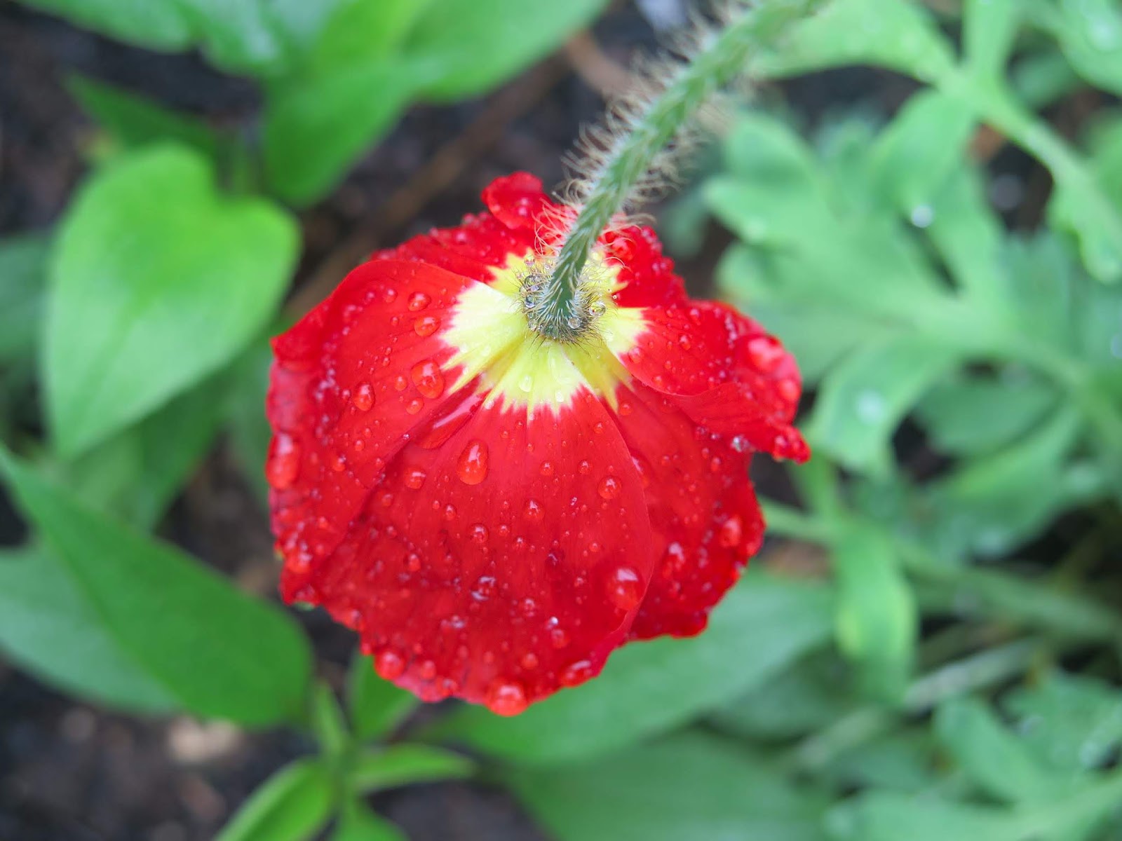 Room Without Walls: Slip, Slidin, Away.