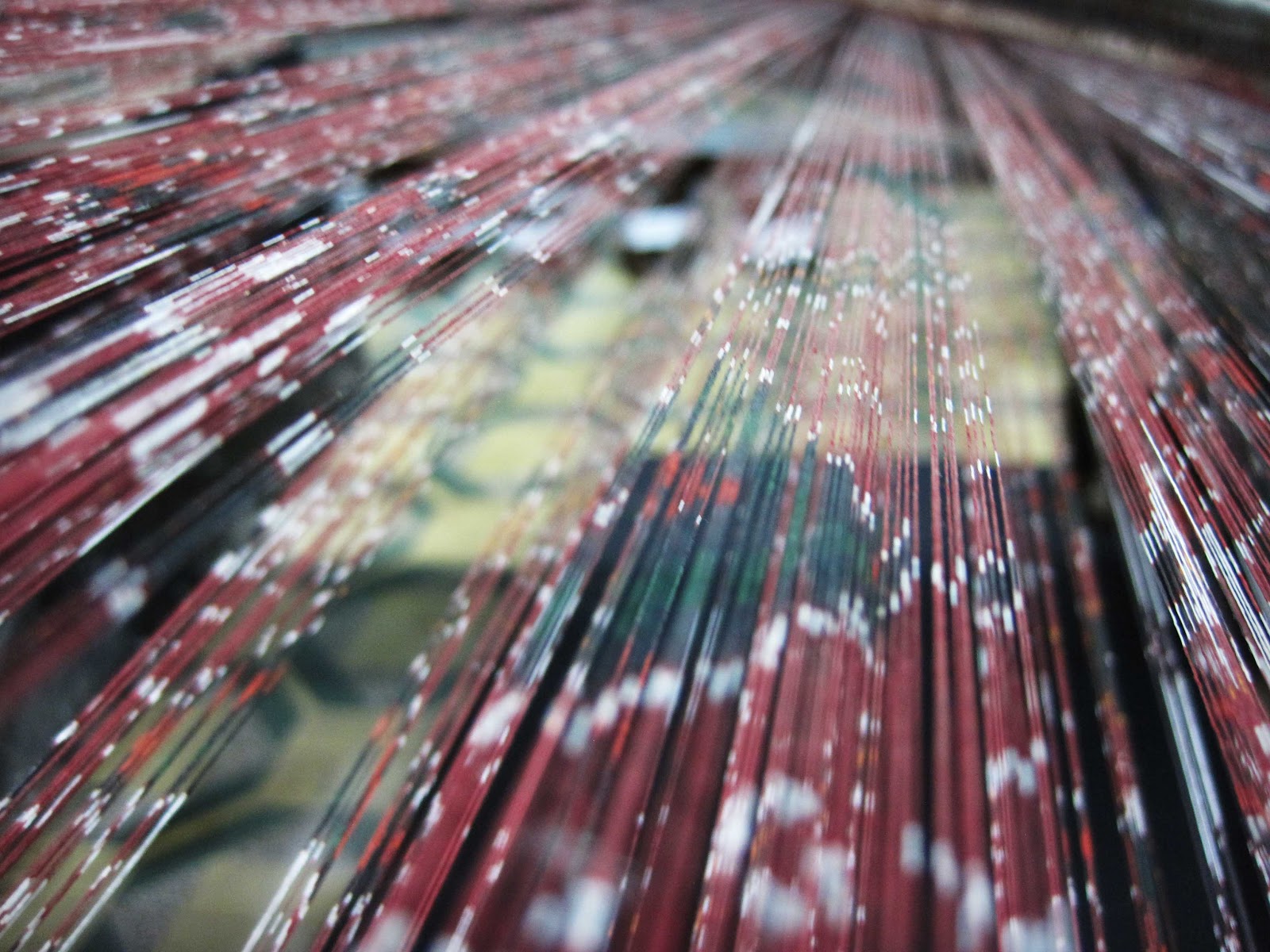 Raindrop: Patan Patola