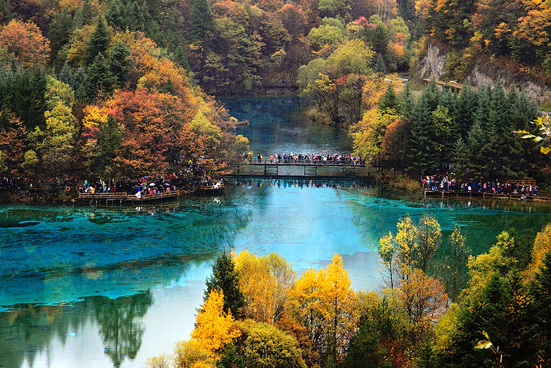 Five Flower Lake – Jiuzhaigou