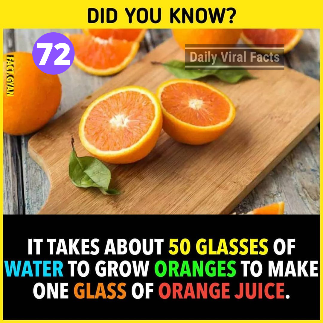 [100+] Amazing Facts That You Should Know #8