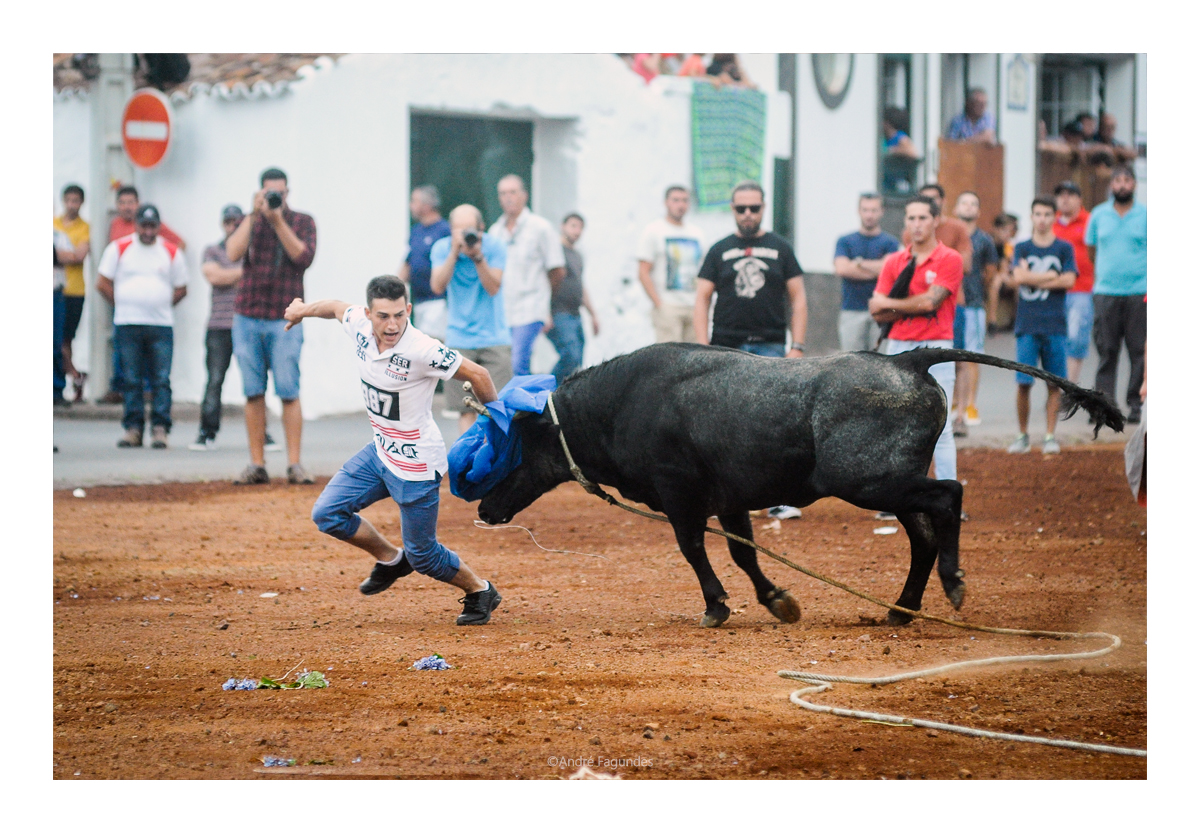 Casa Agrícola José Albino Fernandes: Imagens da Tourada na Vila de São ...