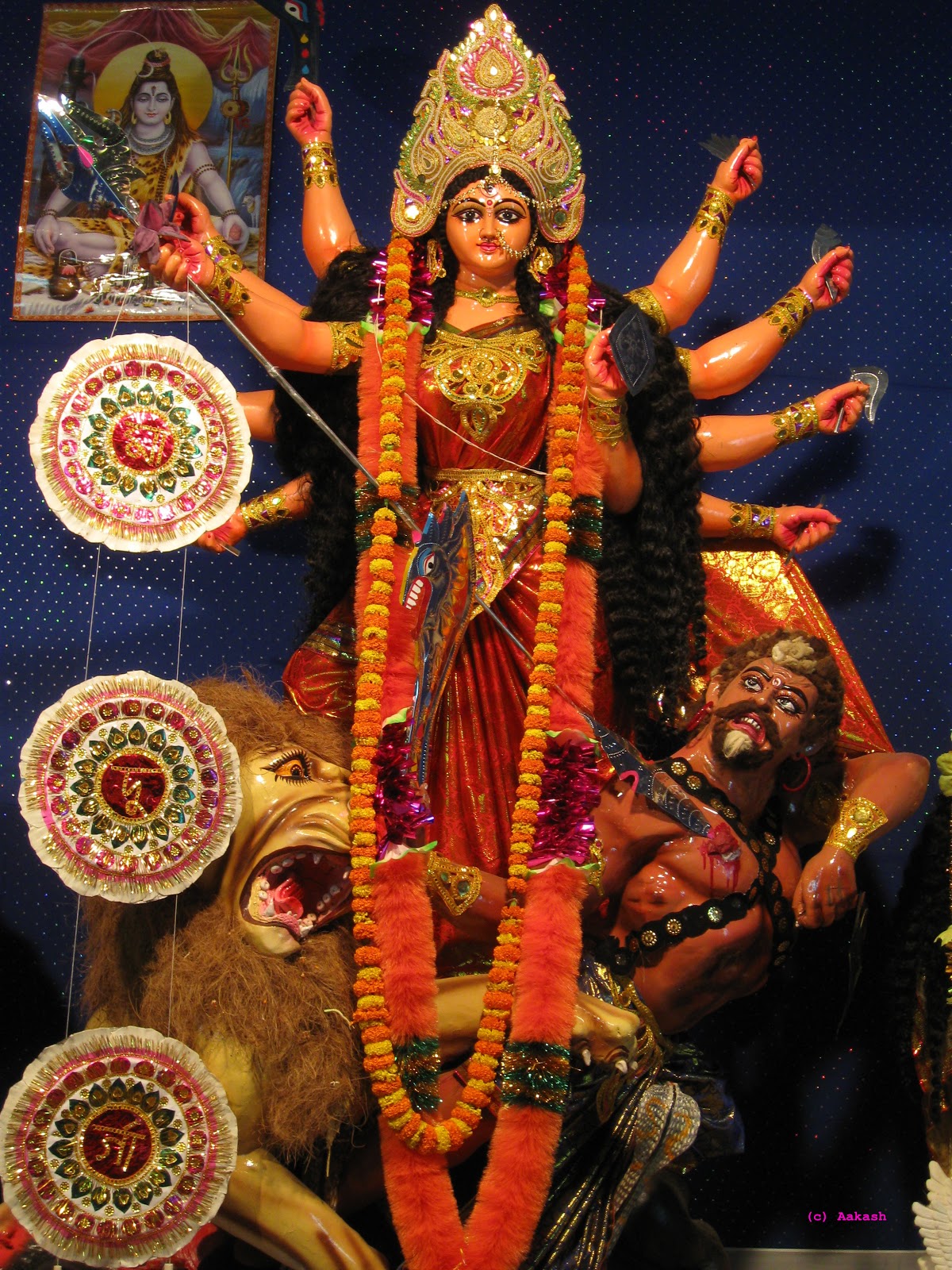 Circle of Things: Durga Puja 2012, West Bengal, India