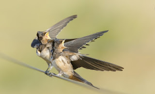 Nikos Fokas Photopraphy Blog