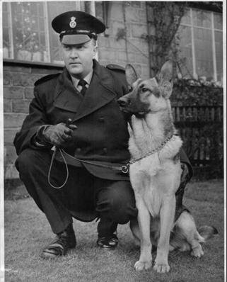 UK Police Dog history: Bradford City Police Dogs 1961-1974