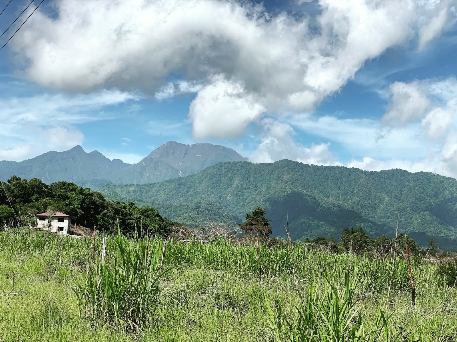 Raisa Banfield...diciendo lo que pienso