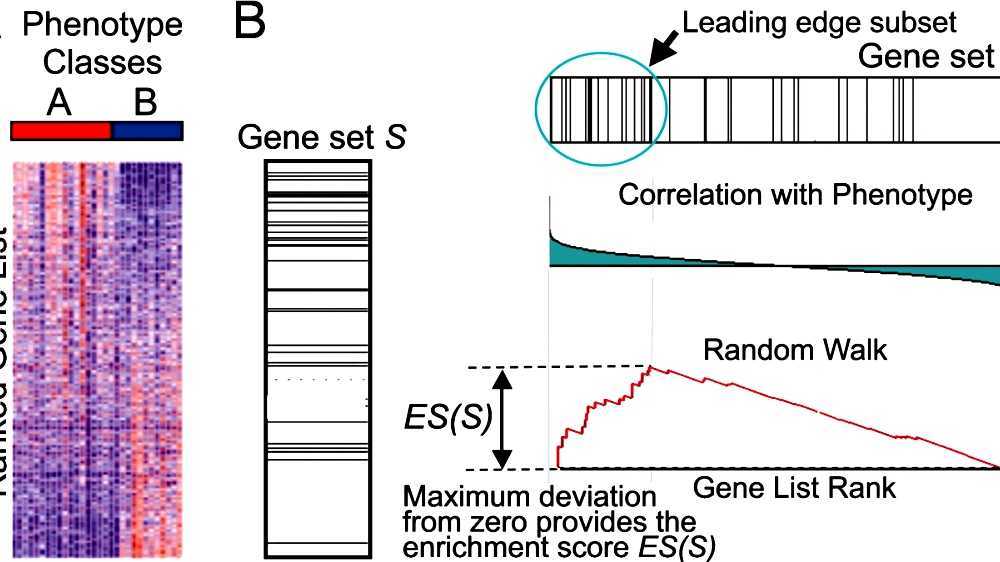 Gene set enrichment analysis