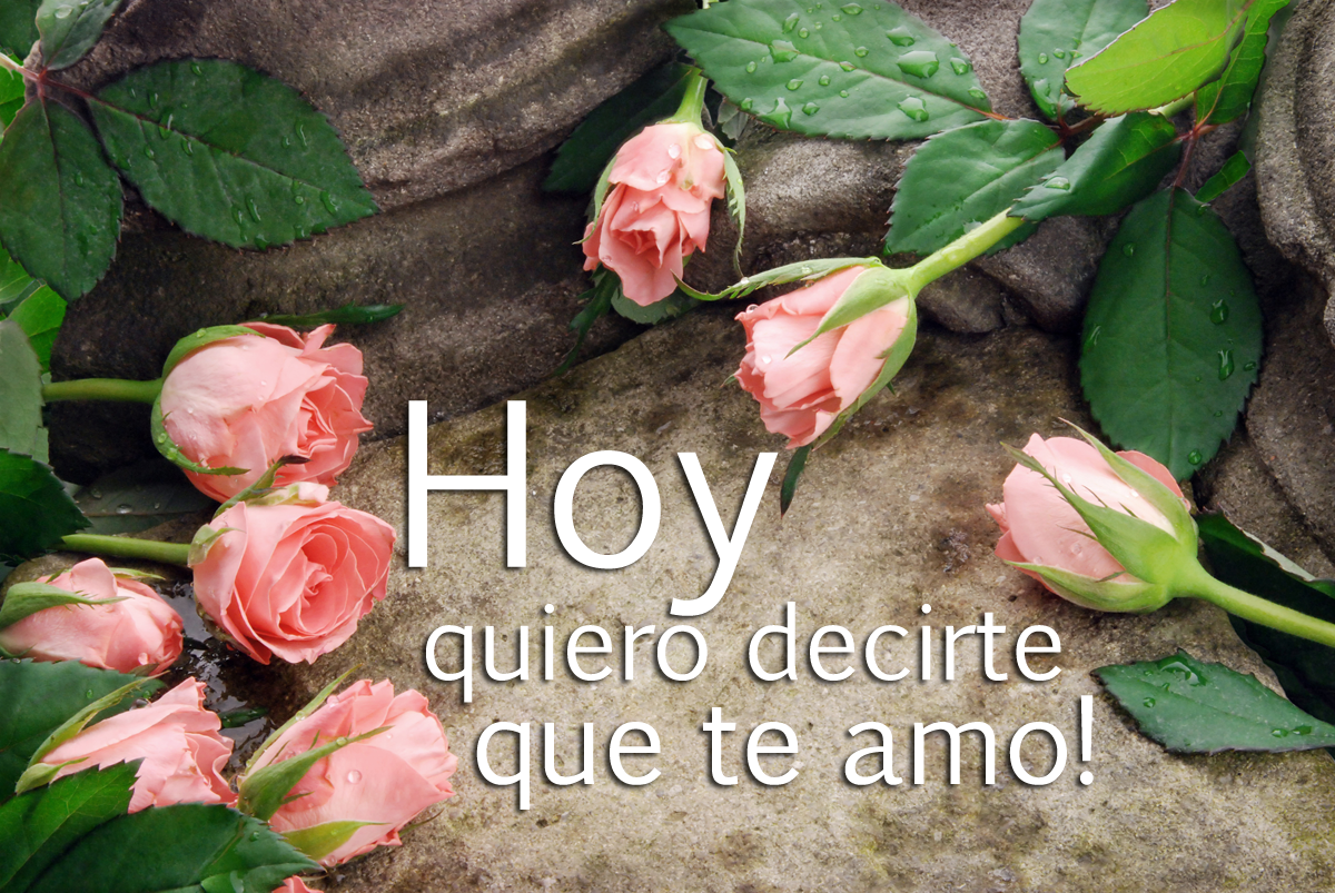 Imagenes tiernas con mensajes de amor | IMAGENES, FRASES, POEMAS, PARA ...
