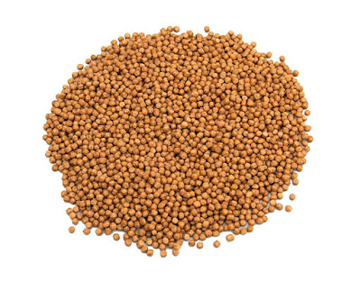 A GAMER'S WIFE: What Is the Best Food to Feed Betta Fish?