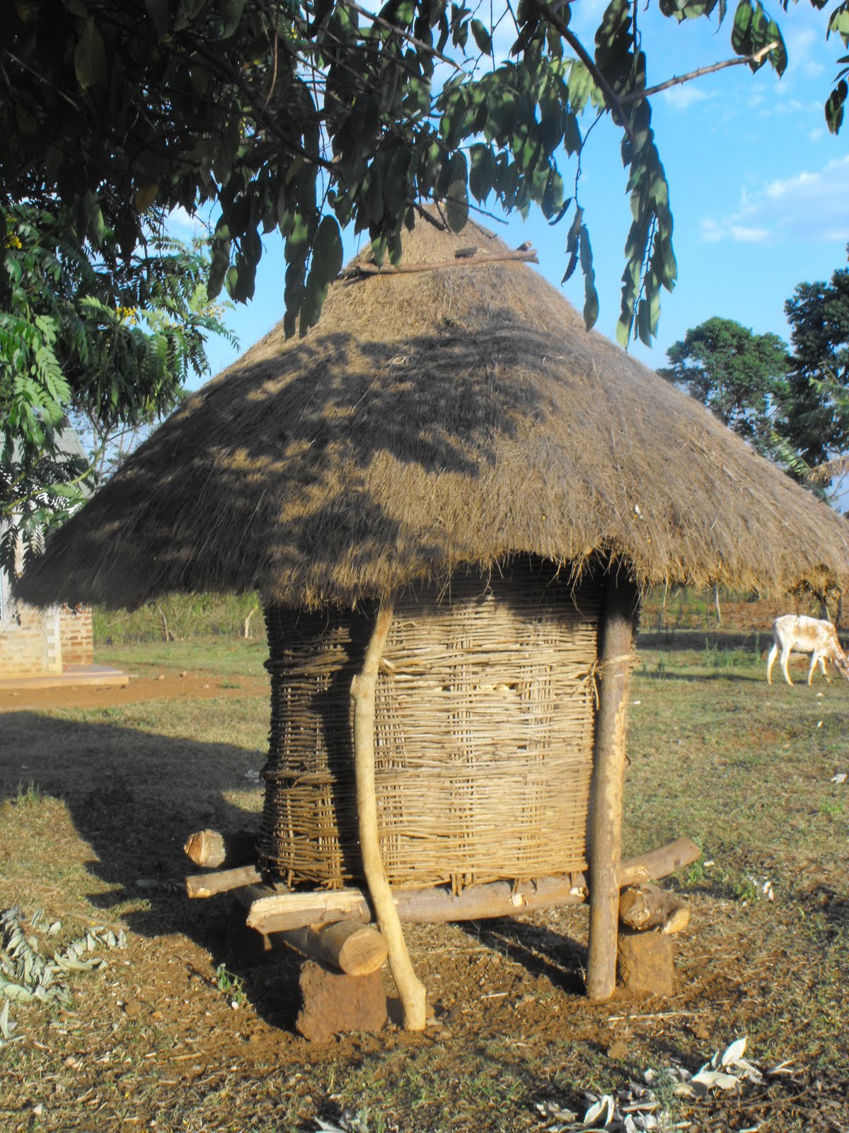 African Architectural Adventure: African Architecture