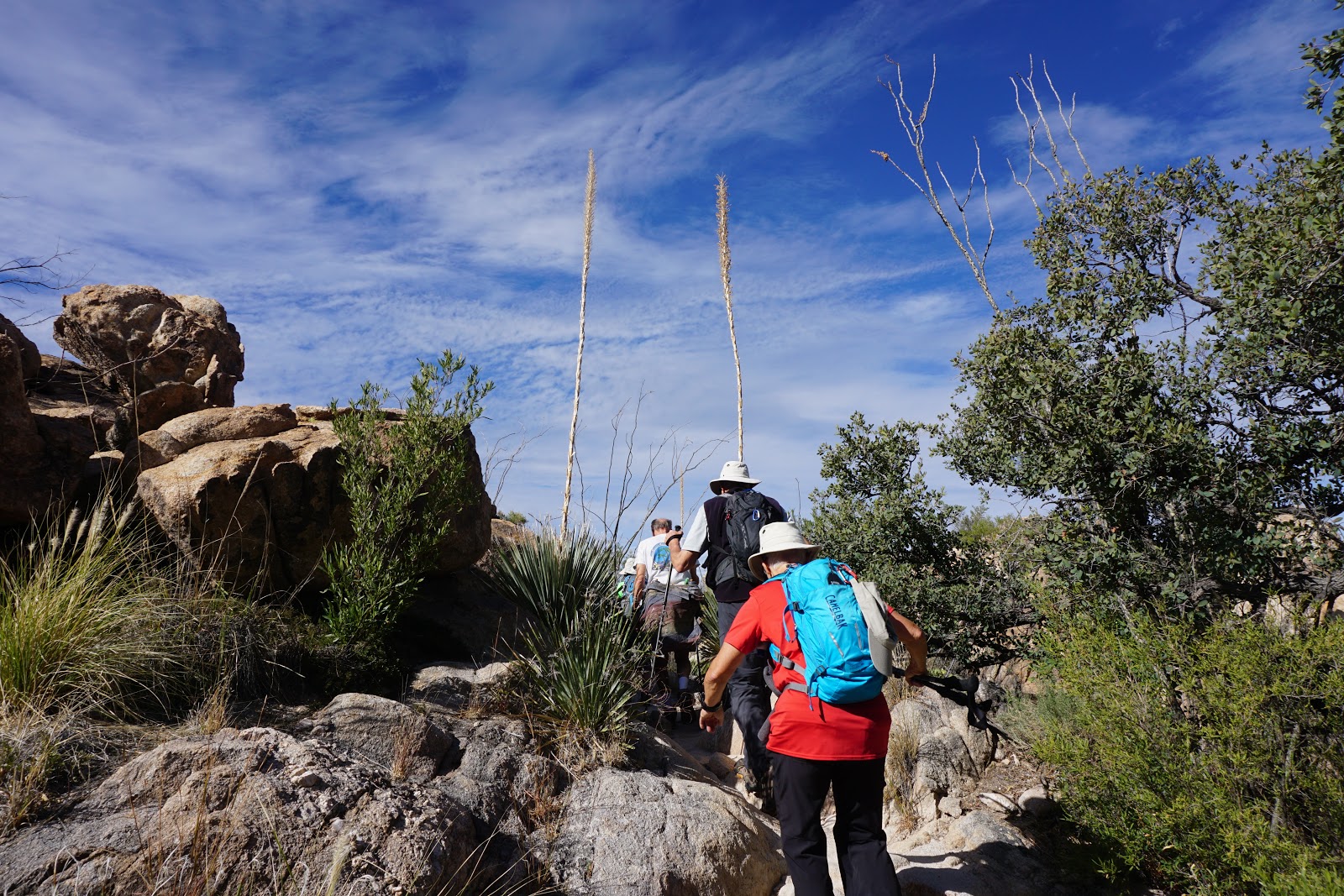 Palm Creek Hikers 2018-2021: December 6, 2019 Romero Pools - Catalina ...