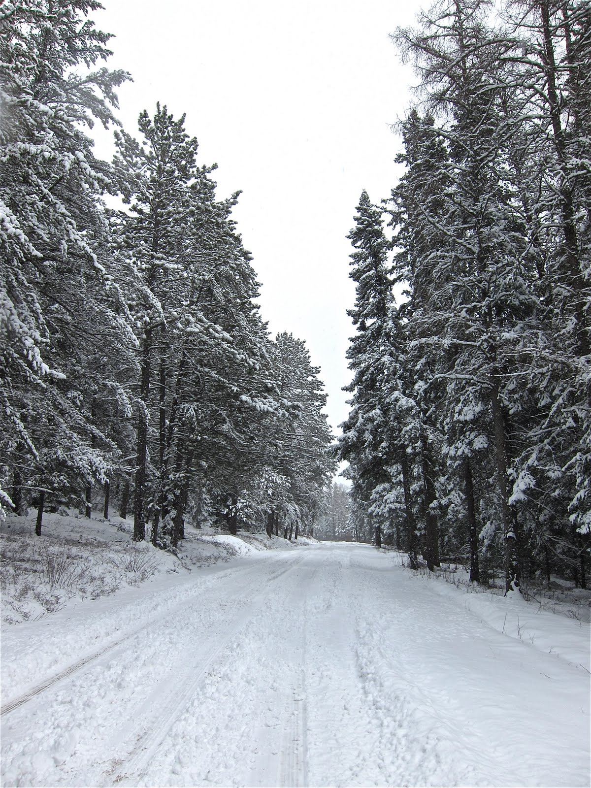 Bill's Magical Mystery Tour...: Spring Time Gravel in Northern Minnesota