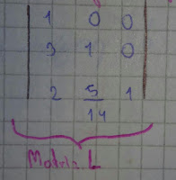 Factorización Lu de una Matriz: Factorización LU de una Matriz.