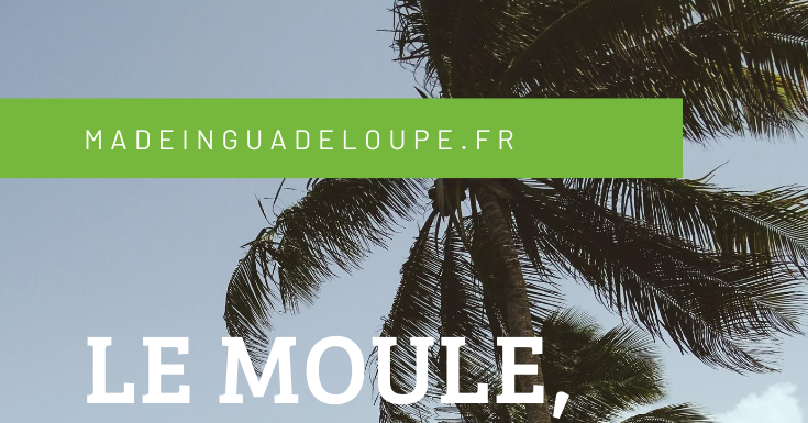 Le Moule, une ville authentique et dynamique