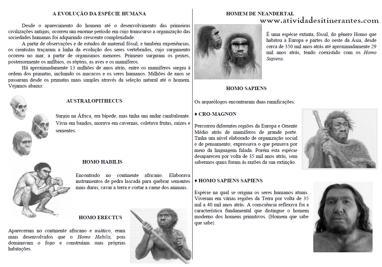 Blog Atividades Itinerantes: História: A evolução da espécie humana ...