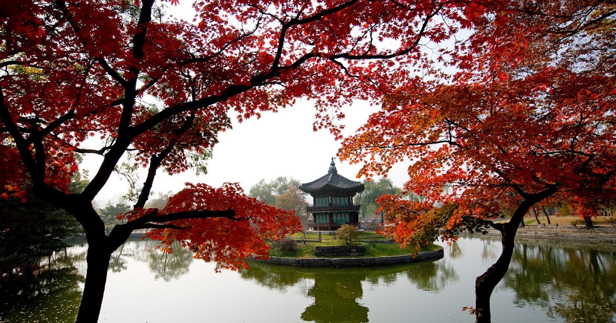 South Korea Blog: Plate Tectonic Boundaries of South Korea