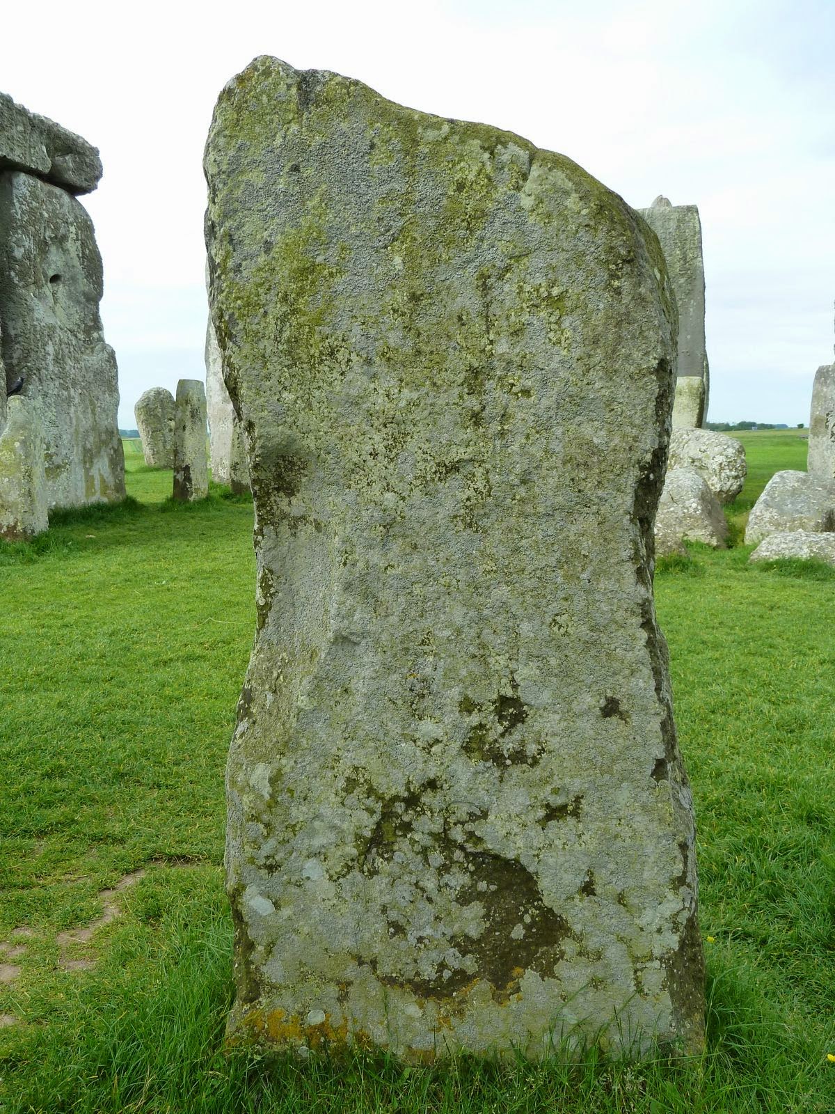The Stones of Stonehenge: Stone 49