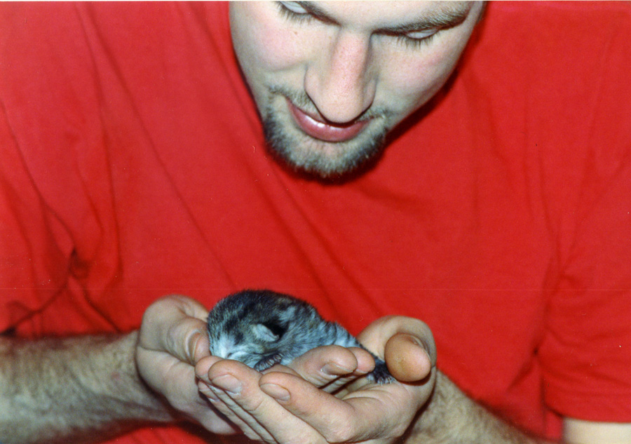 Middle of Nowhere: Goodbye Mouse