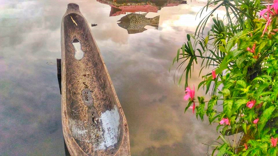 Searching for the Lotus-Eaters in Lake Sebu | South Cotabato - Nomadic ...