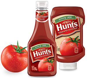 Mundo Das Marcas: HUNT'S
