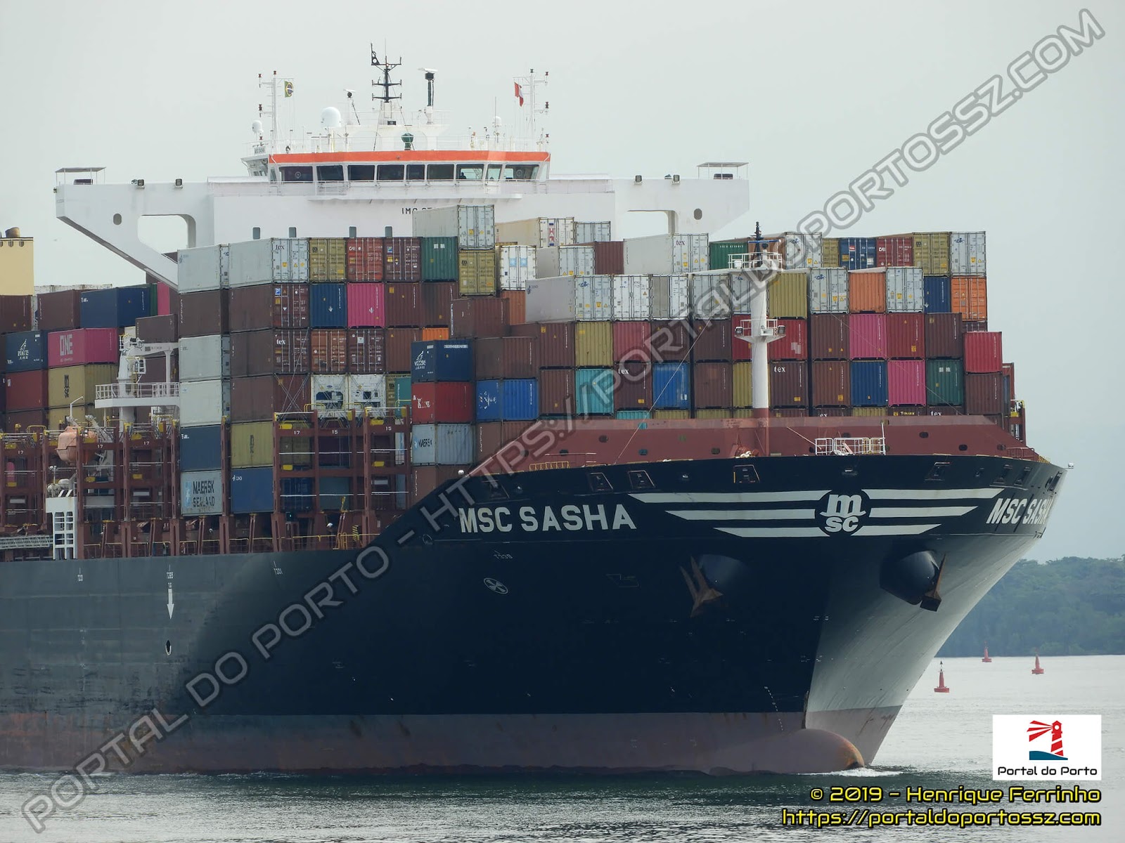 MSC Sasha - Portal do Porto