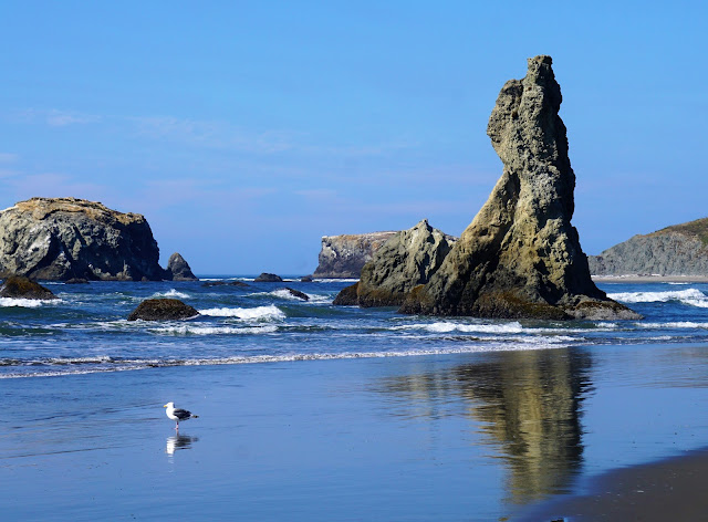 Souvenir Chronicles: SOUTHERN OREGON: DAY 2, LONE RANCH BEACH AND FACE ROCK
