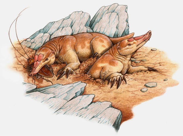 Variety of Life: Trechnotheria