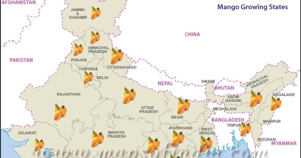 MANGO WORLD MAGAZINE (Est. 2000): INDIA 2016 : Higher mango output may ...