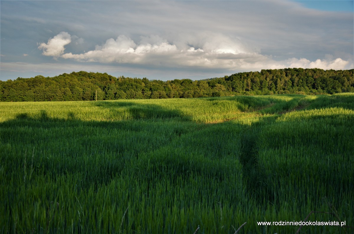 Ostrzyca, w Krainie Wygasłych Wulkanów- Dolnośląskie z dziećmi ...
